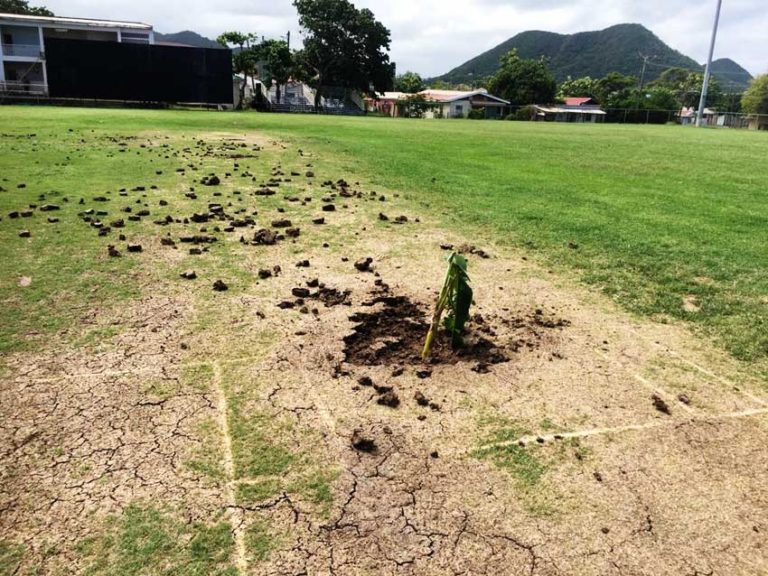 Vandals Destroy Gros Islet Playing Field - The Voice St. Lucia News