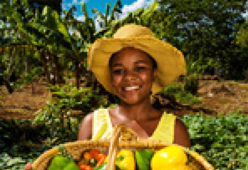 Sandals Foundation Spearheads 40 Transformative Community Projects ...