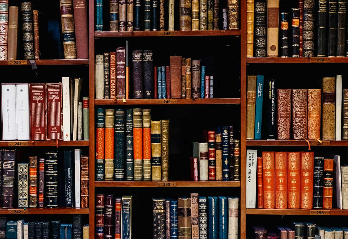 Unleashing the Power of Saint Lucia’s Libraries this National Library ...