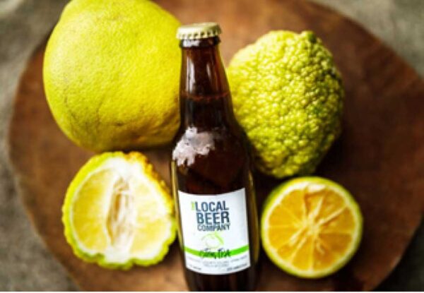 The Local Beer Company Unveiled - A Celebration of Craftsmanship ...